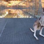 Cobbold Gorge 3 hour tour - A Closer Look at the Cobbold Gorge Tour