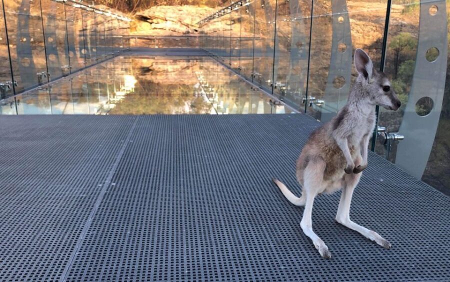 Cobbold Gorge 3 hour tour - A Closer Look at the Cobbold Gorge Tour