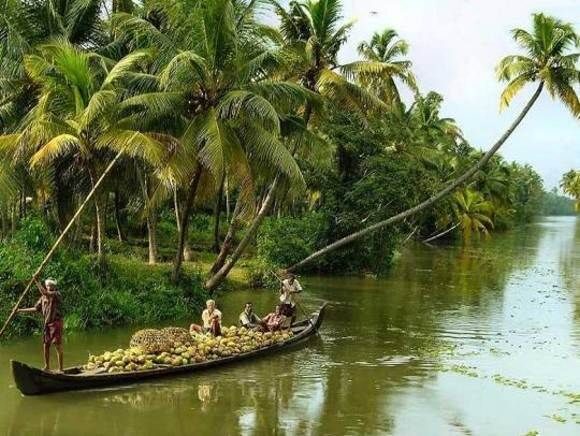 Cochin : Alleppey/Alappuzha Backwater Canoe (Shikara) Cruise - What to Expect: The Itinerary in Detail