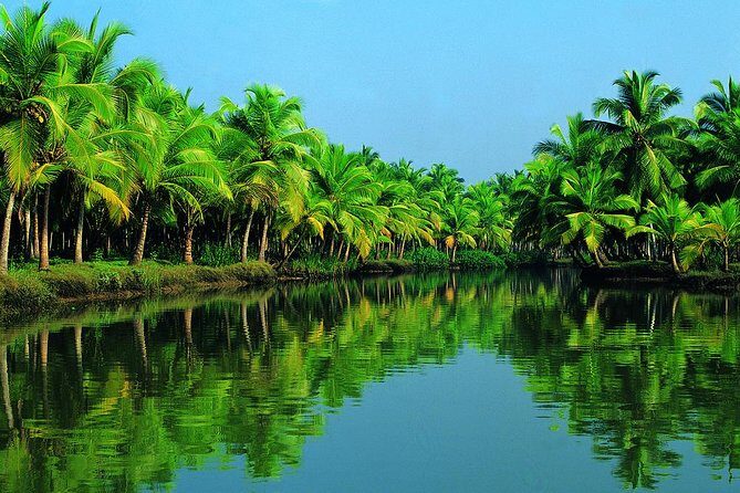 Cochin Shore Excursion: Backwater Houseboat Tour and Chinese Nets - Who Would Enjoy This Tour?