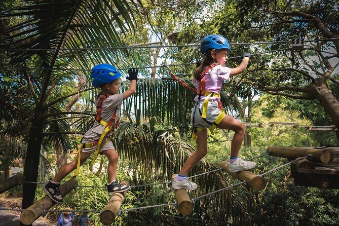 Coffs Harbour Climbing & Junior Ropes Course - Pricing and Value