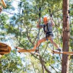 Coffs Harbour: Treetops Adventure Tree Ropes Course - What Makes It Special?