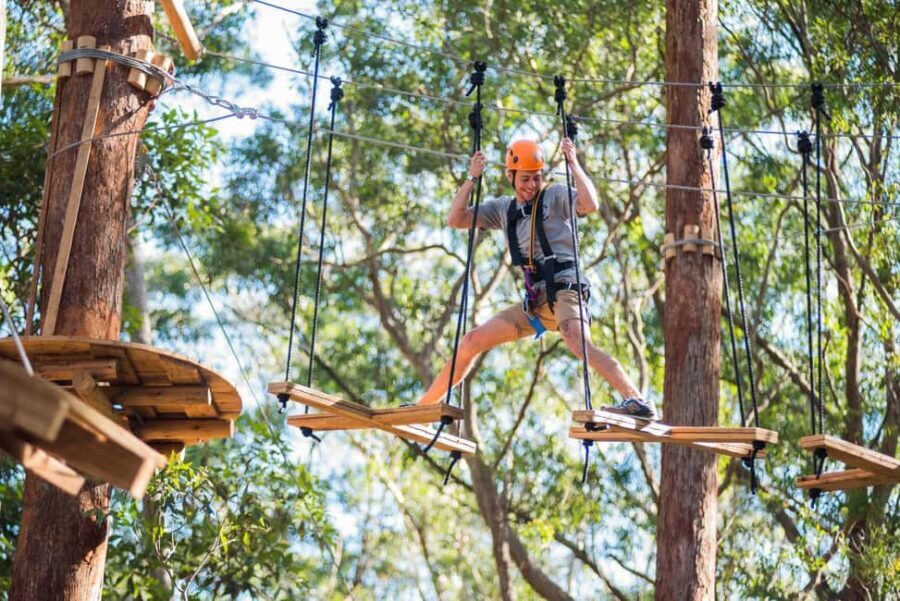 Coffs Harbour: Treetops Adventure Tree Ropes Course - What Makes It Special?