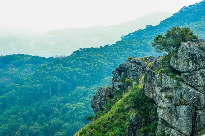 Coimbatore: Ooty Day Trip with Private Cab - Why Choose This Experience?
