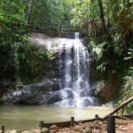 Colo-i-Suva Waterfall Tour (Suva) - Final Thoughts