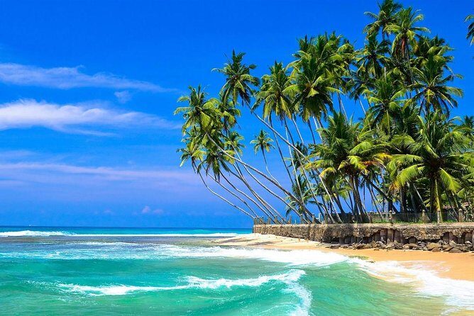Colombo Airport To Hikkaduwa (Private arrival transfer) - The Sum Up