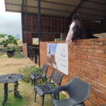 Colombo: Beach Horseback Riding Experience - Key Points