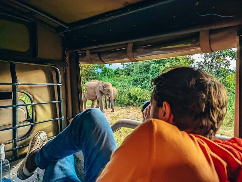 Colombo: Sigiriya Rock, Dambulla & Jeep Safari All Inclusive - What’s Included and What’s Not