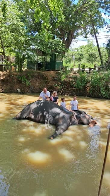 Colombo To Pinnawala & Kandy Luxury Day Tour by Car/Van/Bus - Value and Practical Tips