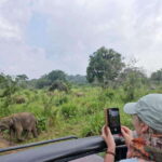 Colombo to Yala via Sigiriya, Kandy Private 4-Day Tour - Exploring Day by Day