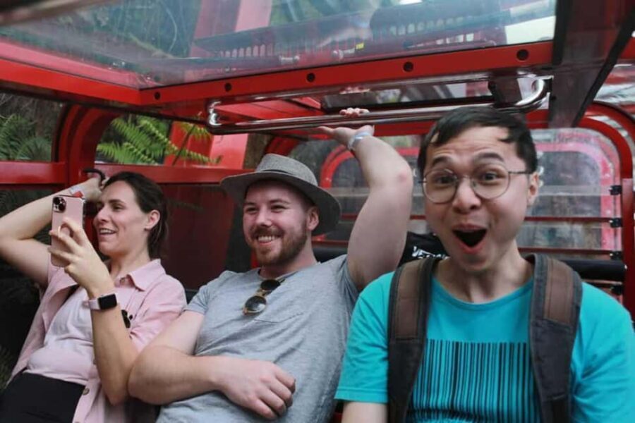Combo: Blue Mountain Tour + Sydney Hop-on-Hop-off Bus Ticket - Exploring the Blue Mountains: What to Expect