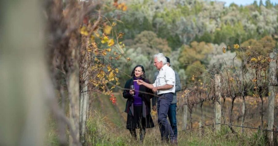 Combo: Hunter Valley Tour + Sydney Hop-on-Hop-off Bus Ticket - Chocolate and Cheese Tastings — Sweet and Savory Delights