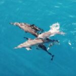 Combo Jet Ski Excursion + 4X4 Safari - Authentic Traveler Experiences