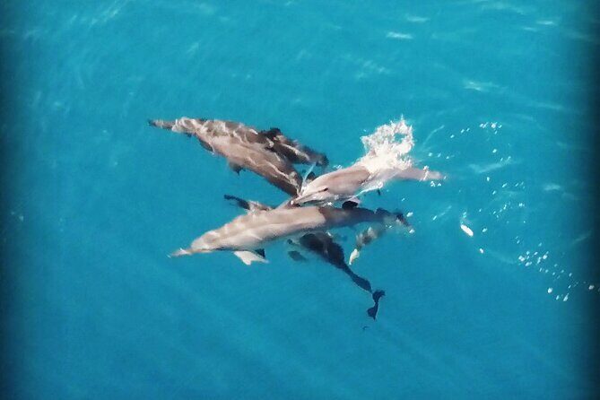 Combo Jet Ski Excursion + 4X4 Safari - Authentic Traveler Experiences