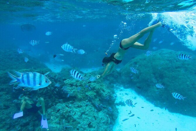 Combo snorkeling + motu lunch + jet ski group tour full day - Analyzing the Value and Practical Details