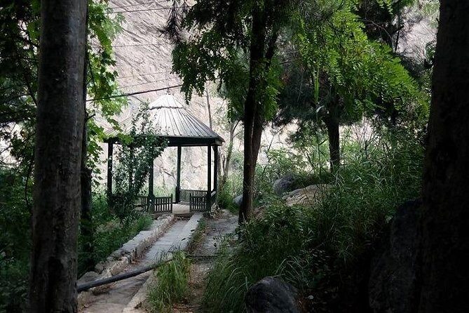 Complete Himachal Tour 8 Nights 9 Days Starting from Delhi - What We Love About This Tour