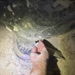 Con Dao: 2-Day Turtle Watching and Snorkeling Tour - The Value of This Tour