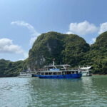 Con Dao Island Turtle Hatchery Visit & Coral Snorkeling Tour - Transport, Timing, and Group Size