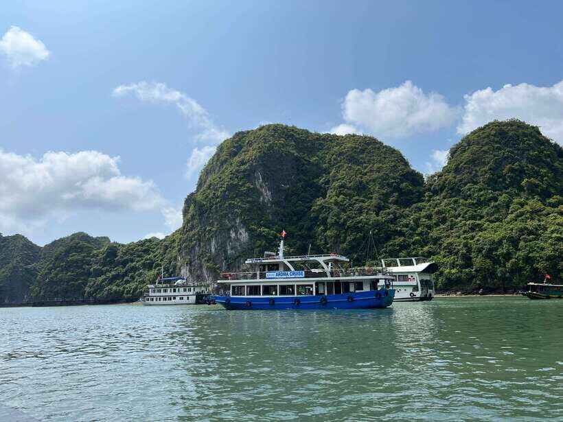 Con Dao Island Turtle Hatchery Visit & Coral Snorkeling Tour - Transport, Timing, and Group Size
