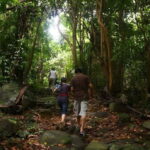 Con Dao: Journey Through So Ray  A Natural Wonder - Practical Details and Value