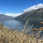 Convertible Picnic Tour Queenstown - Practical Considerations and Value