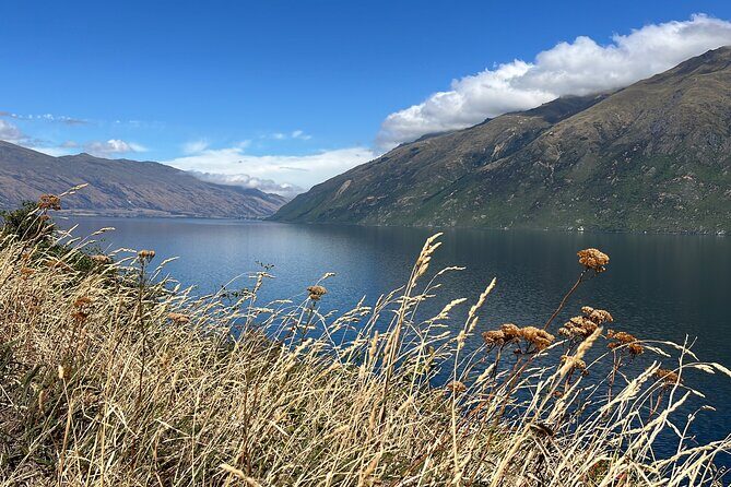 Convertible Picnic Tour Queenstown - Practical Considerations and Value