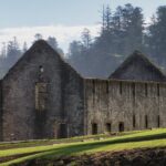 Convict Settlement Tour Norfolk Island - Deep Dive into the Itinerary