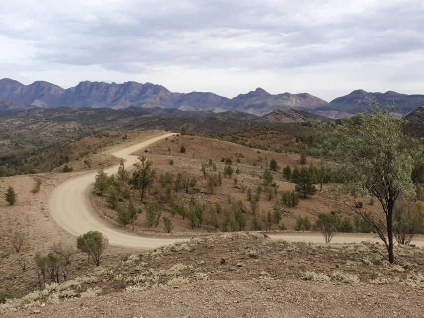 Coober Pedy: 7-Day Lake Eyre & Flinders Ranges 4WD Tour - The Experience Value