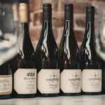 Cool Climate Chardonnay Masterclass in Denmark Australia - Who Should Consider This Tour?