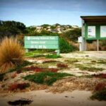 Coorong 3 & 1/2 Lunch Cruise and Tour - An In-Depth Look at the Itinerary