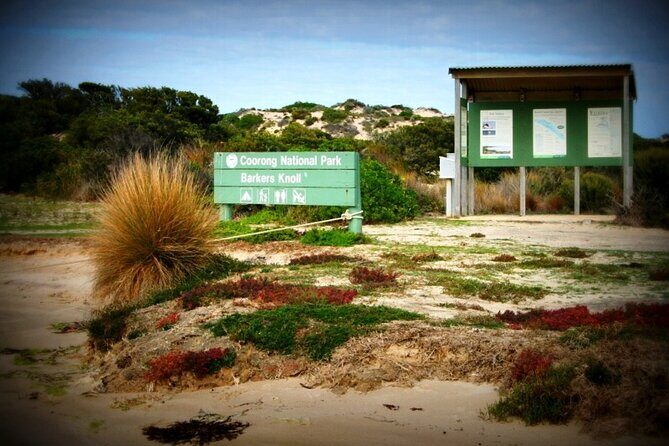 Coorong 3 & 1/2 Lunch Cruise and Tour - An In-Depth Look at the Itinerary