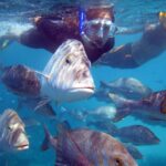 Coral Bay: 2-Hour Coral Viewing and Snorkeling - Who Will Love This Tour?