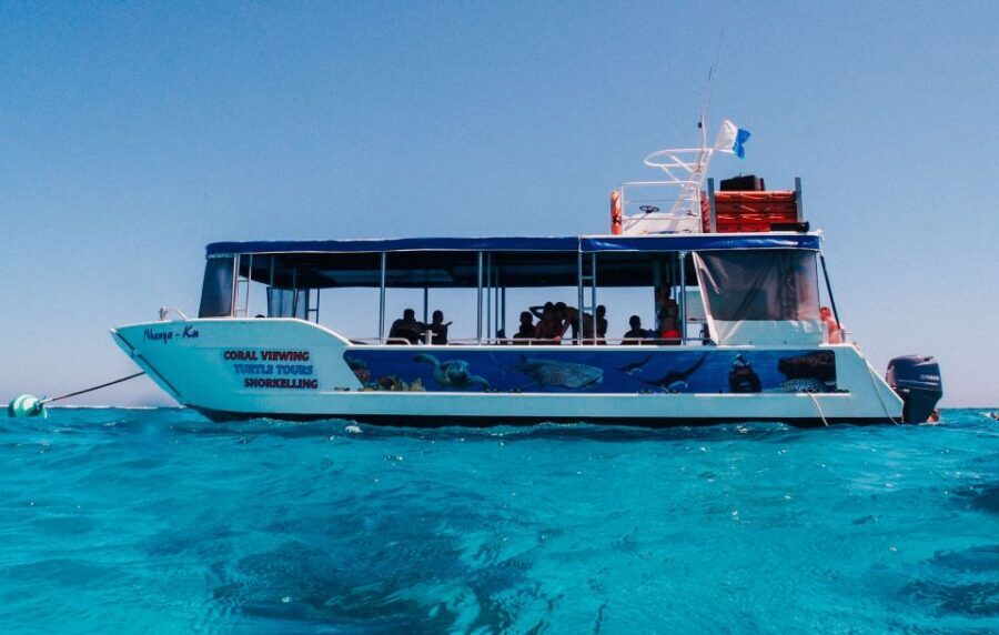 Coral Bay Glass-Bottom Boat Tour - The Experience in Detail
