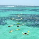 Coral Bay: Ningaloo Reef 3-Hour Turtle Ecotour - What You Can Expect on the Tour