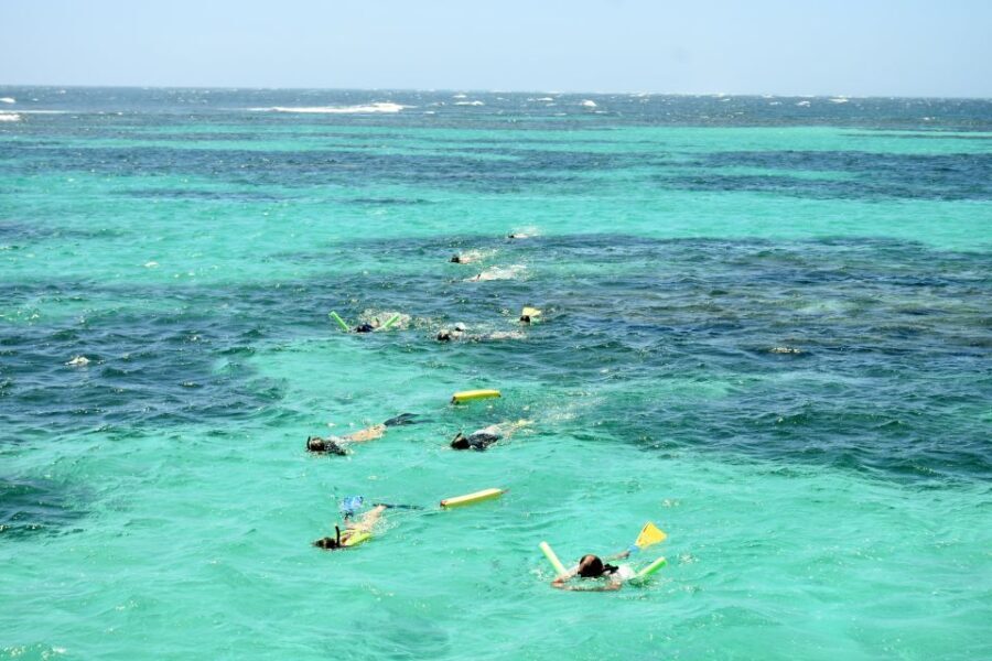 Coral Bay: Ningaloo Reef 3-Hour Turtle Ecotour - What You Can Expect on the Tour
