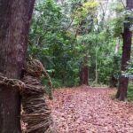 Coral Coast sand dunes & Natadola Beach trip - What’s Included and What’s Not