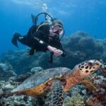 Coral Sea Dreaming Overnight Dive, Snorkel and Sail - Why Choose This Tour?