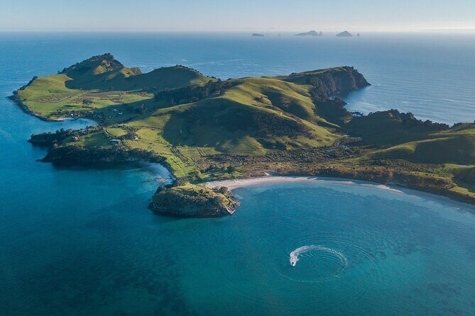 Coromandel Adventure and Wildlife Boat Tour to Aldermen Islands - Analyzing the Value