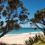 Coromandel Cathedral Cove Walk & Hot Water Beach Day Tour - What Travelers Say