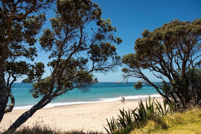 Coromandel Cathedral Cove Walk & Hot Water Beach Day Tour - What Travelers Say