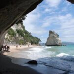 Coromandel Coastal Experience - Small Group Tour from Auckland - Transportation and Group Size