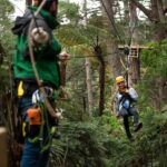 Coromandel: Guided Zipline Tour Experience - What Makes This Tour Stand Out?