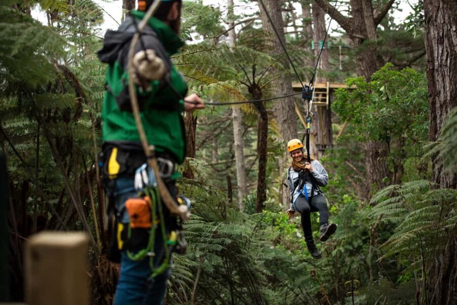 Coromandel: Guided Zipline Tour Experience - What Makes This Tour Stand Out?