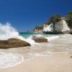 Coromandel Peninsula Discovery - Private Tour From Auckland - What Makes This Tour Stand Out?
