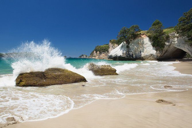 Coromandel Peninsula Discovery - Private Tour From Auckland - What Makes This Tour Stand Out?