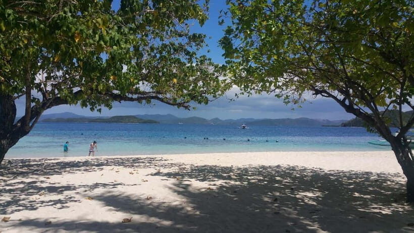 Coron Island: Reef and Wrecks Tour (JOINERS) - Who Should Consider This Tour?