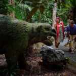 Cow Bay: Daintree Discovery Centre Entry Ticket - Final Thoughts