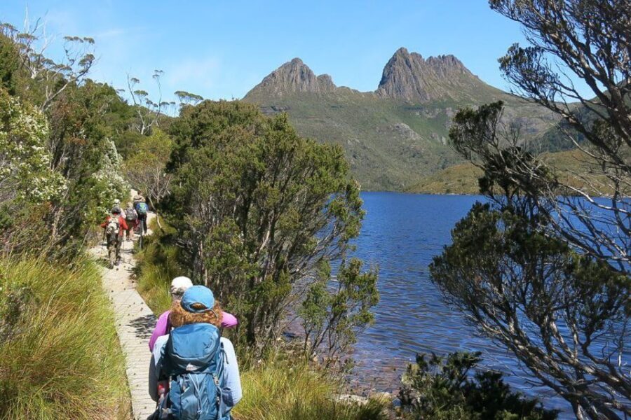 Cradle Mountain: Day Trip from Launceston with Lunch - The Value for Money