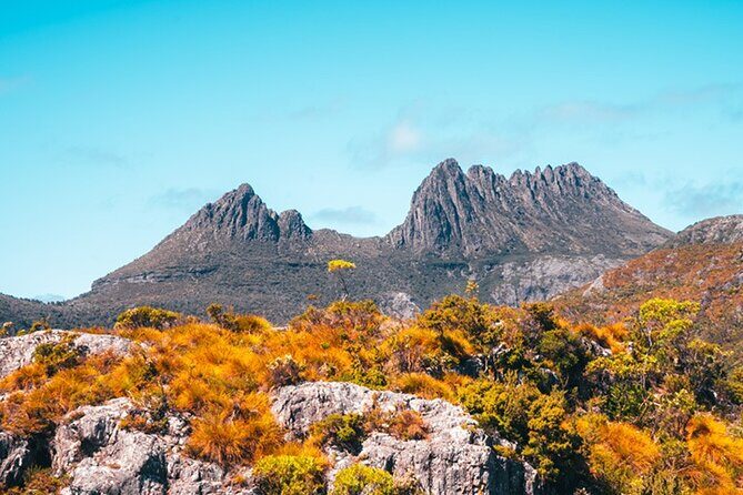 Cradle Mountain National Park Day Tour from Launceston - The Value of the Experience