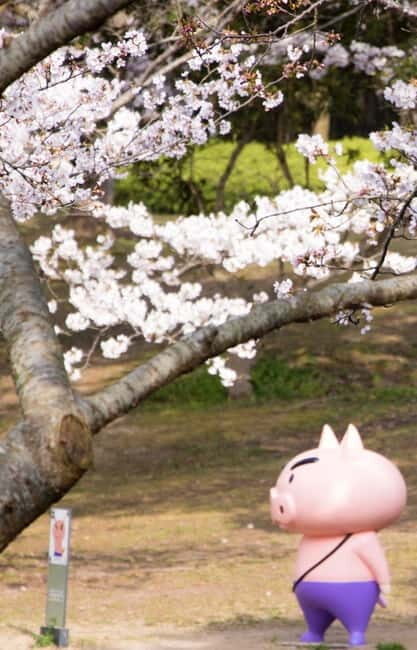 Crayon Shinchan Adventure Park Entry Ticket - The Value of the Experience